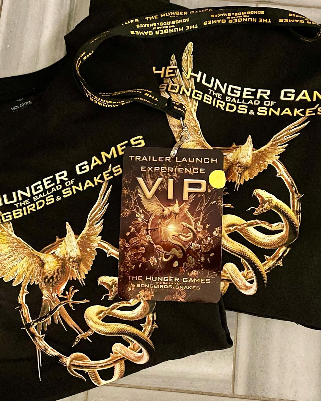 Trailer Launch – Events – Gallery - The Mockingjay's Nest